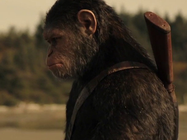 El simio, nuestro semejante - La Tempestad