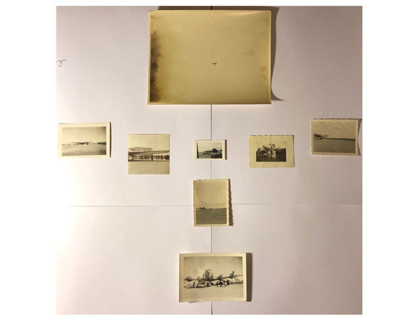 ‘Taxonomías isomórficas’, de Manuel Rocha Iturbide - La Tempestad