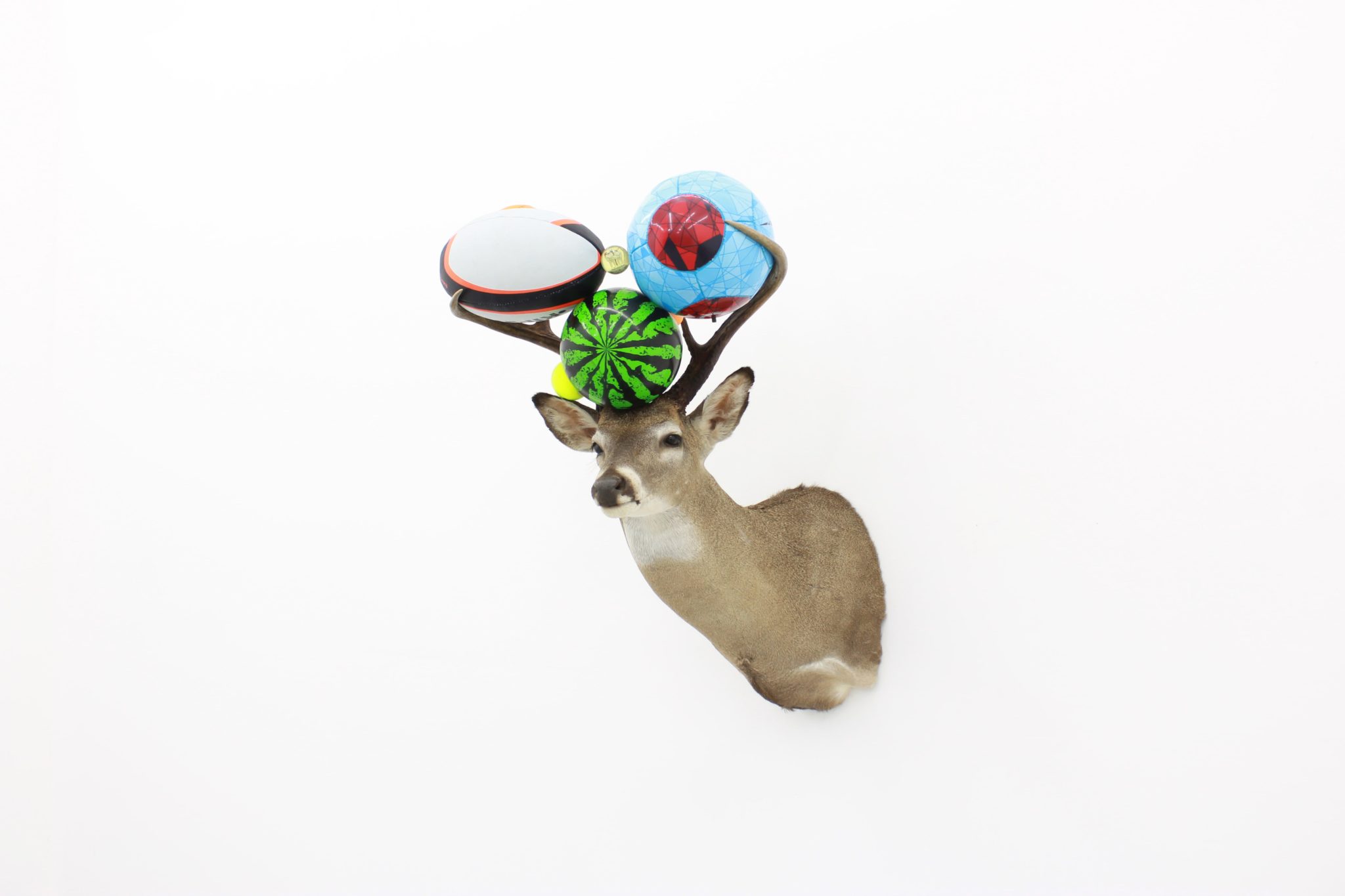 Gabriel Rico, el artista y la obra - La Tempestad - Artes visuales