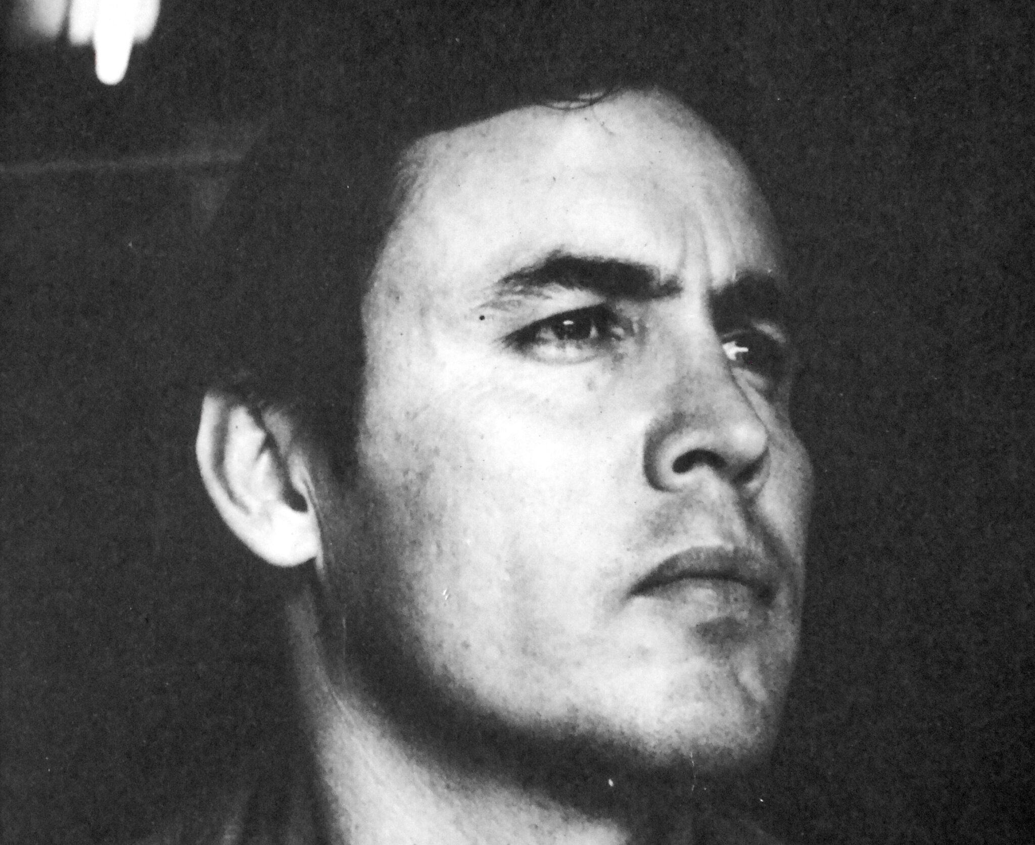 El escritor, los libros y los gatos | La Tempestad