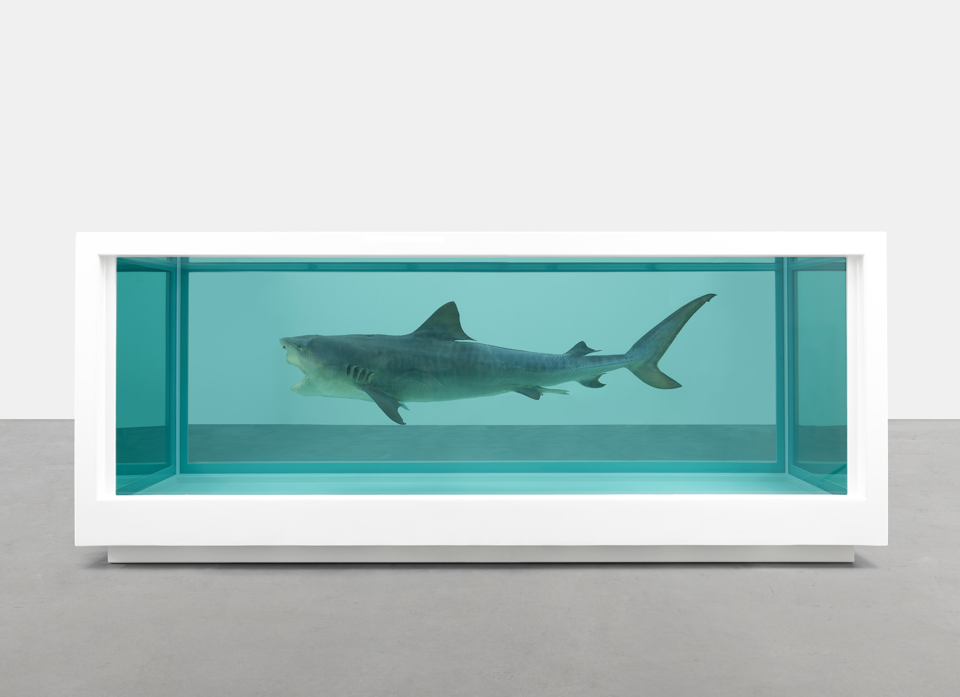 Vivir para siempre, según Damien Hirst - La Tempestad